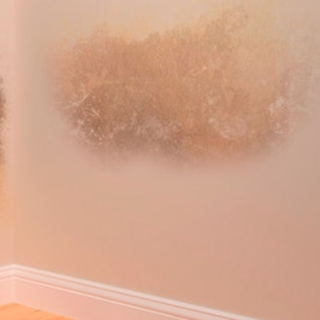 Building Defect Assessment | Building Audit & Structural Inspection