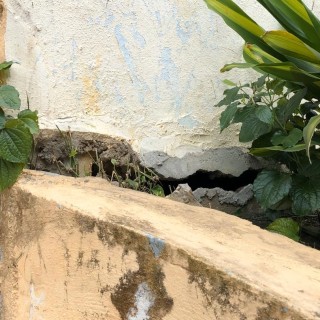 Building Defect Assessment | Building Audit & Structural Inspection